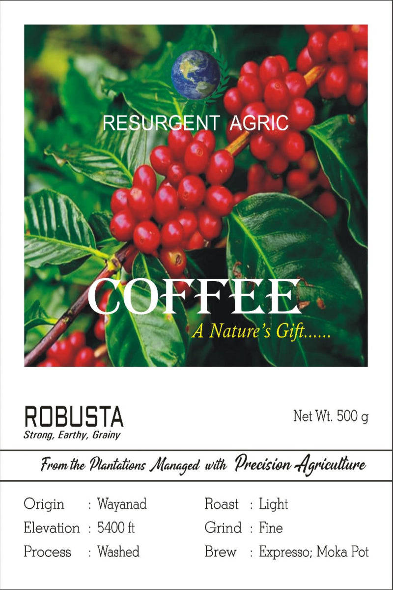Robusta Washed (Light - Fine) – Resurgent Agric